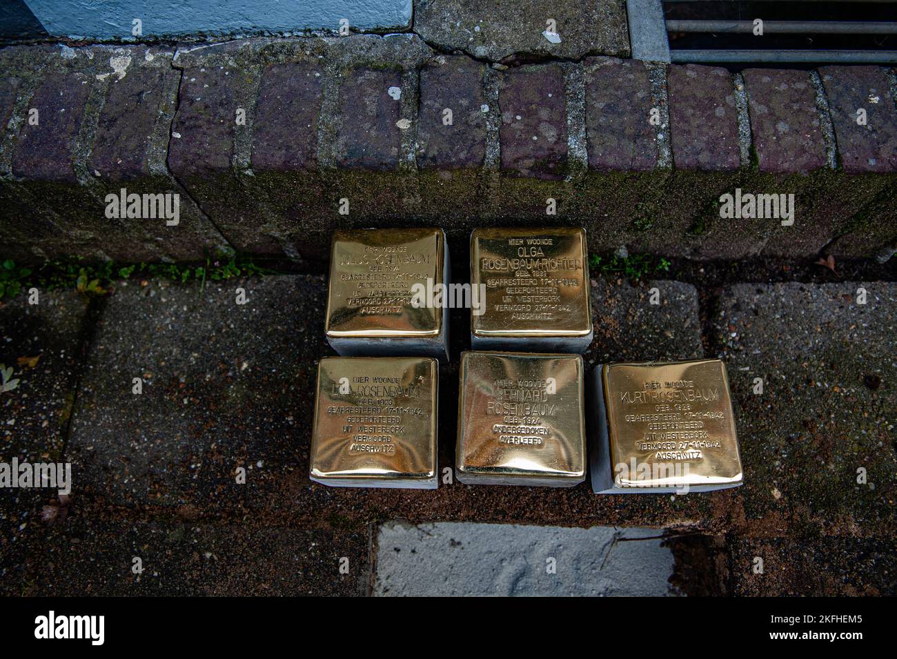 A view of a group of Stolpersteine before being placed on the pavement ...