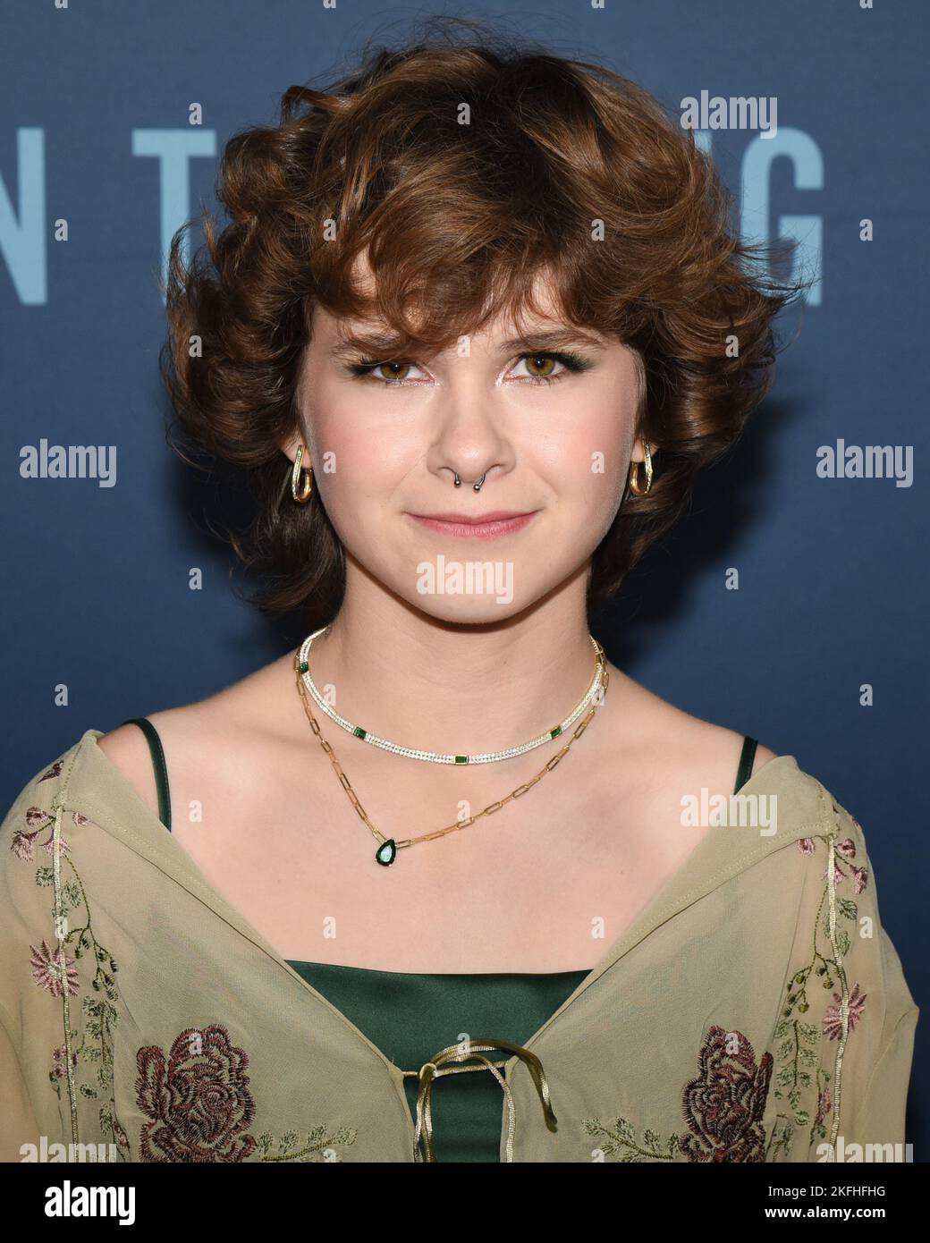 November 17, 2022, Beverly Hills, California, USA: Liv McNeil attends ...