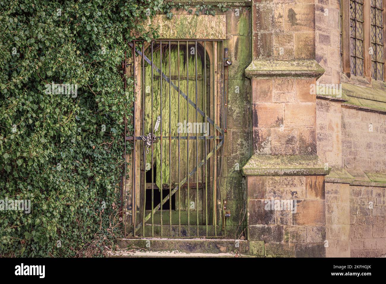Old derelict church door with green mold and over grown ivy climbing ...