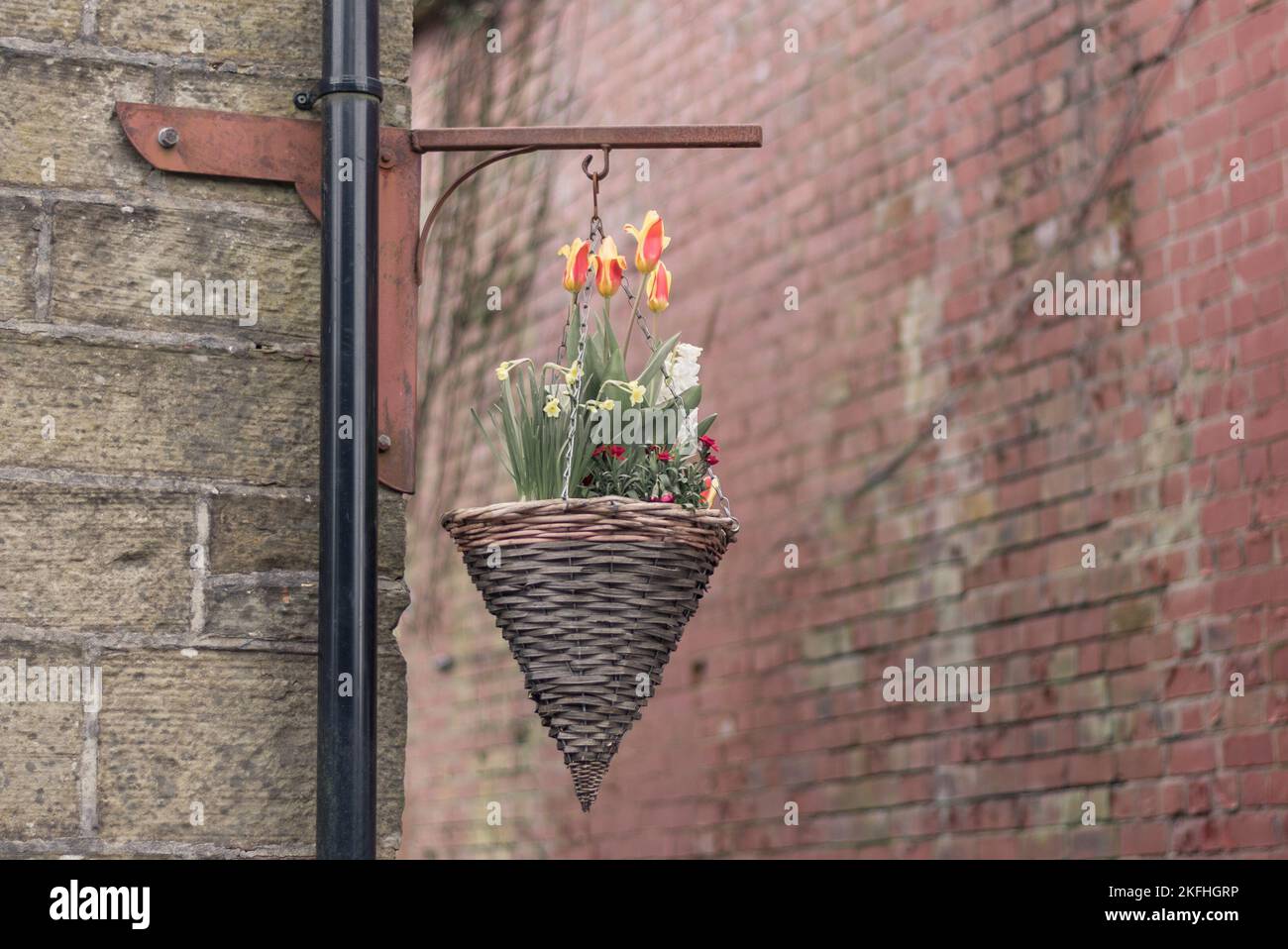 Flowering wicker hanging basket hanging from rusty old metal bracket ...