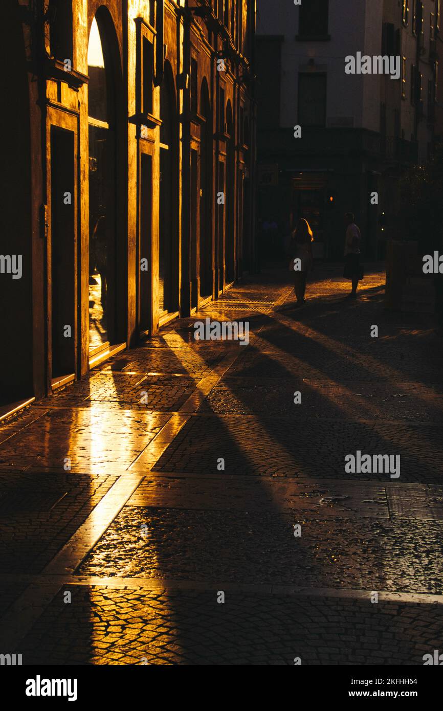 A vertical shot of golden sunset light reflection on a building and the ...