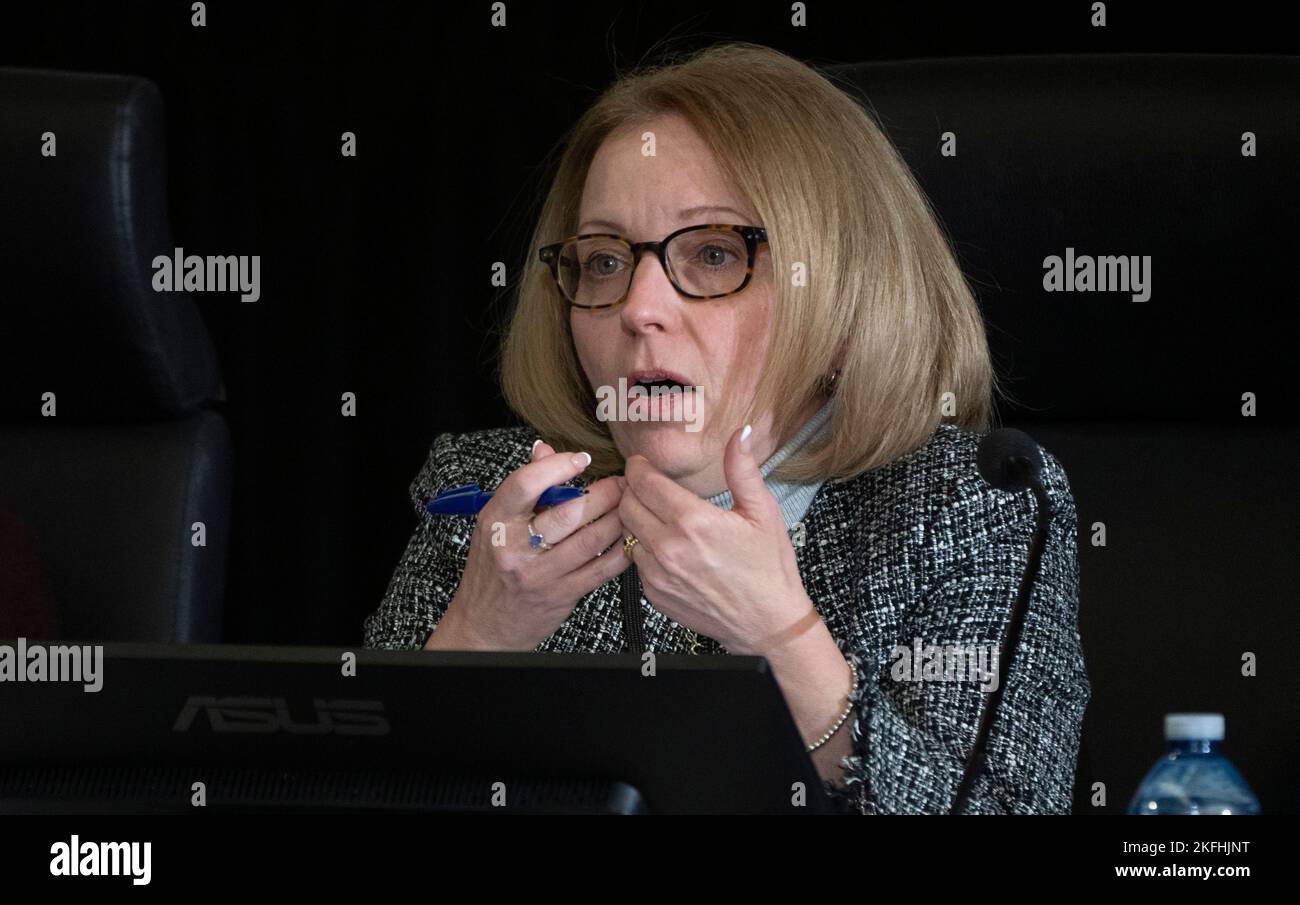 Deputy Clerk of the Privy Council Nathalie Drouin appears as witnesses ...