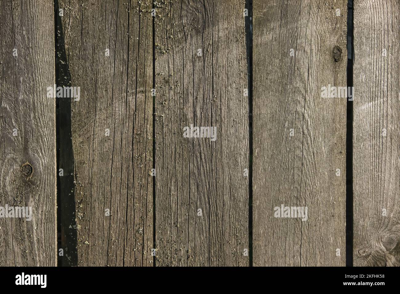 Wooden texture with vertical lines. The texture of wood with knots and ...