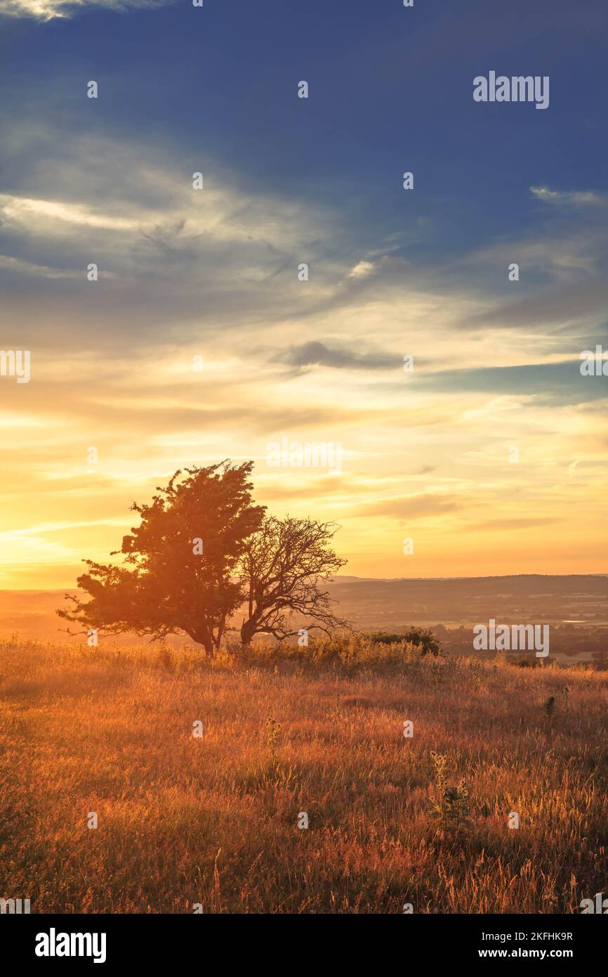 The beautiful sunset in a rural field Stock Photo - Alamy