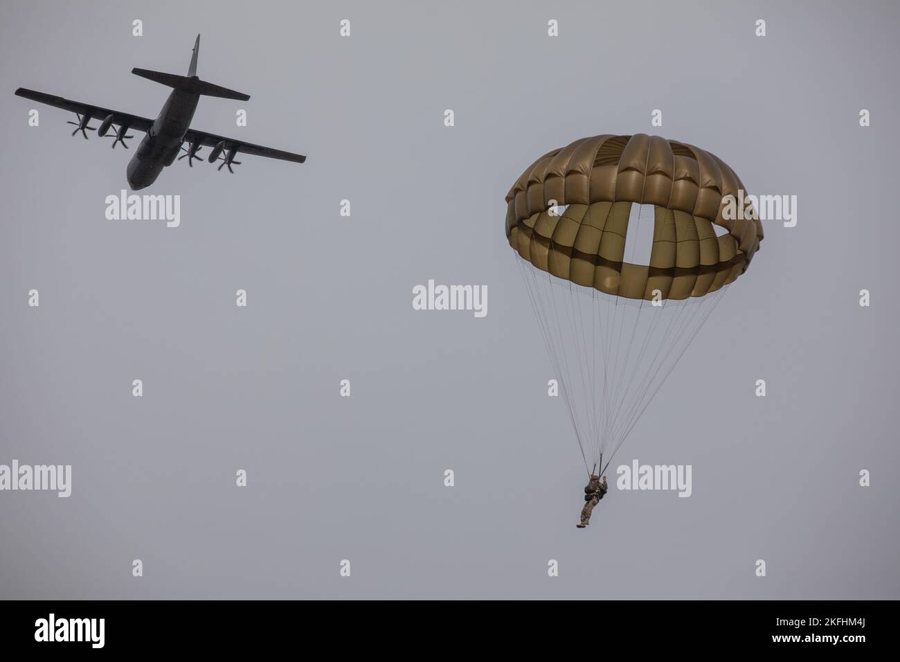 A group of U.S. Army and European Paratroopers descends onto the Drop ...