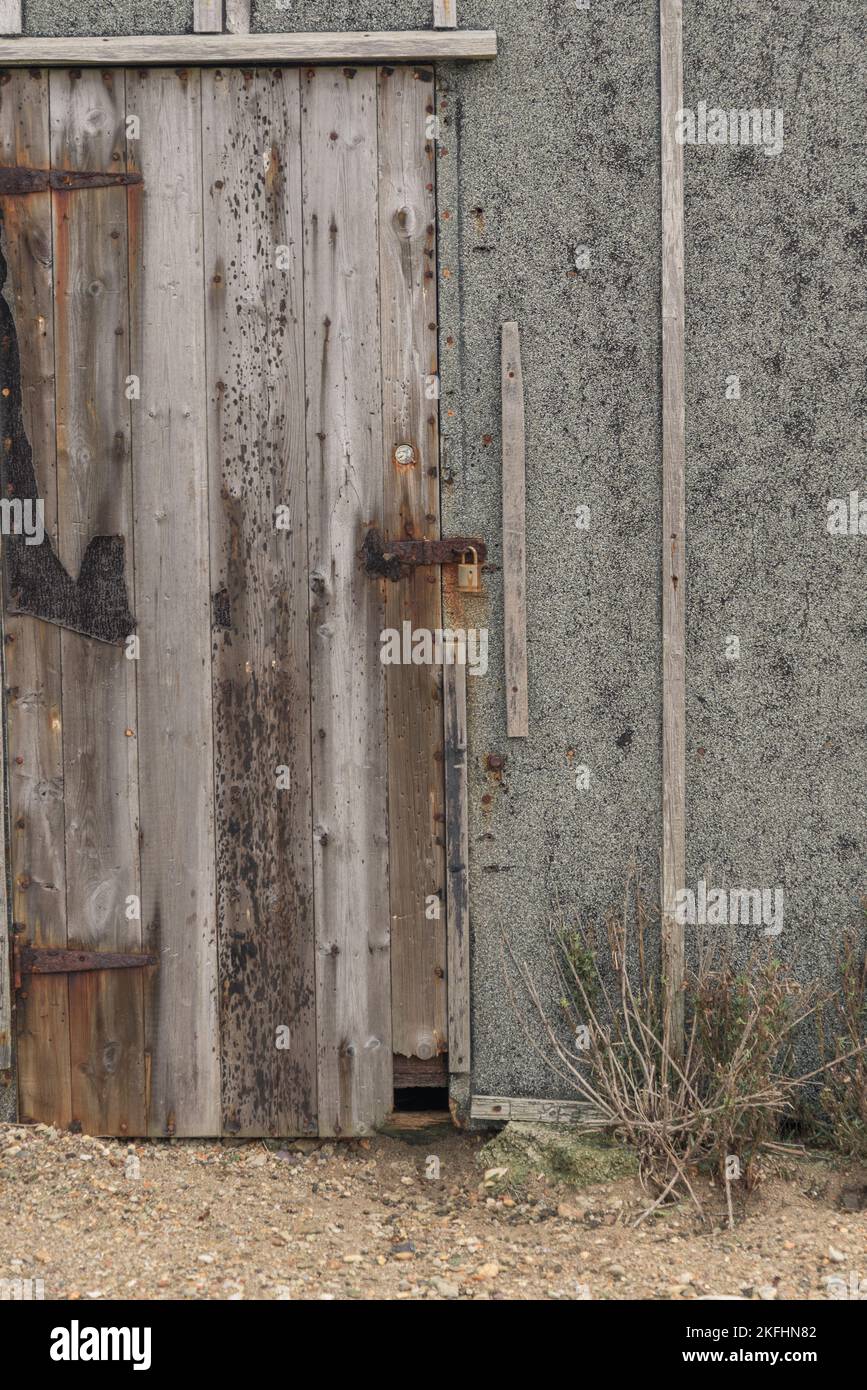 Close up of a dilapidated rotting old shed door with rusty padlock on ...