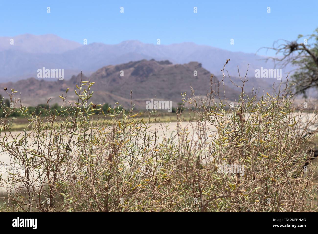 Mountains view on route 40, between Cachi and Cafayate, in northern ...