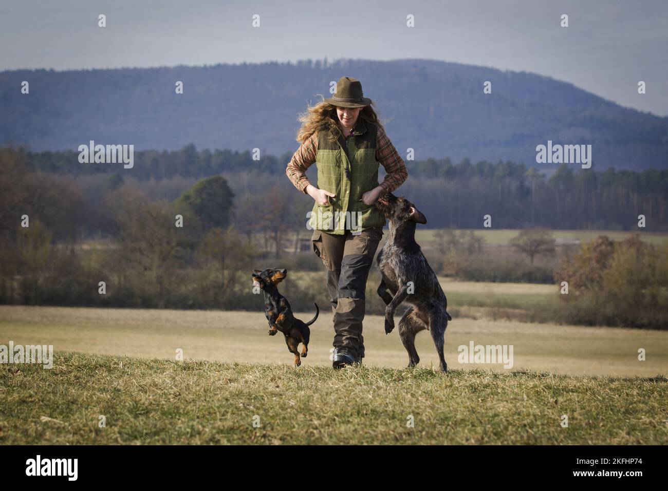 Gamekeepers dogs hi-res stock photography and images - Alamy