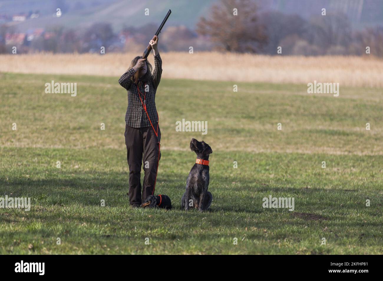 Gamekeepers dogs hi-res stock photography and images - Alamy