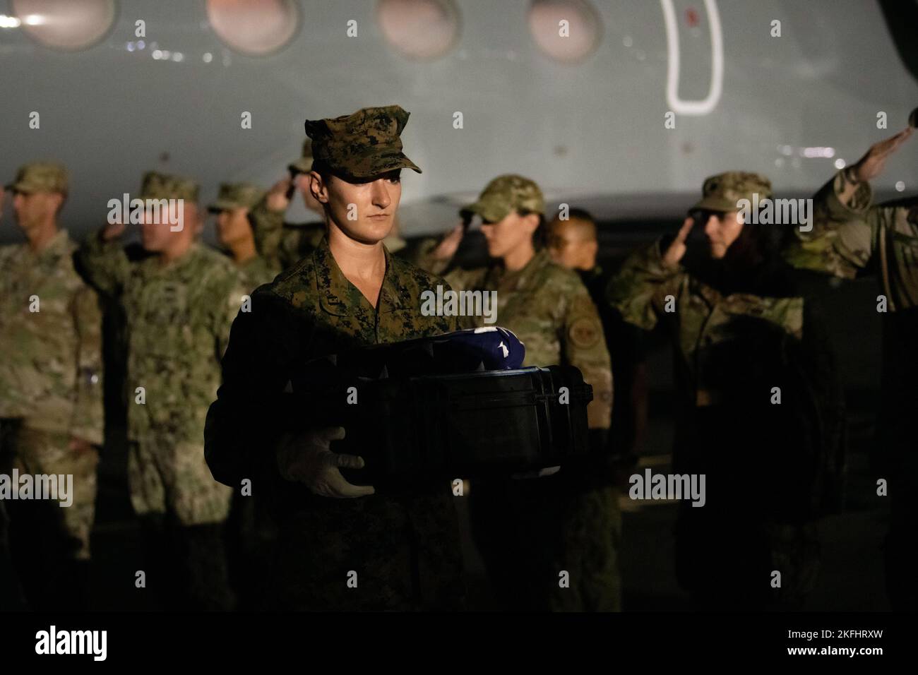 Members of the Defense POW/MIA Accounting Agency (DPAA) conduct an ...