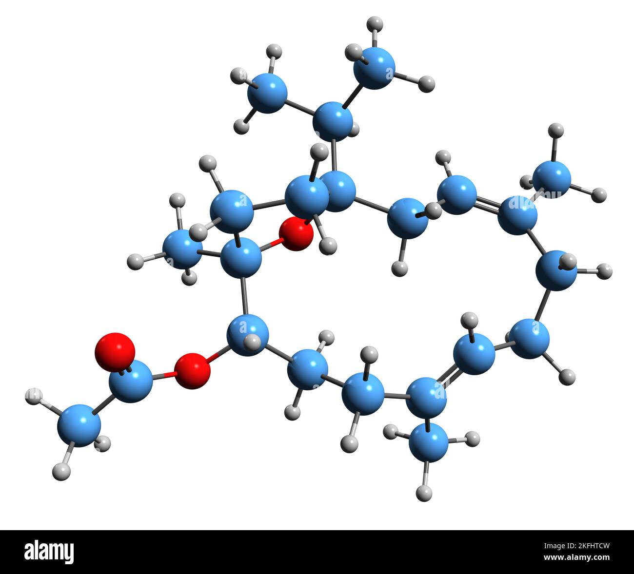 3D image of Incensole acetate skeletal formula - molecular chemical ...