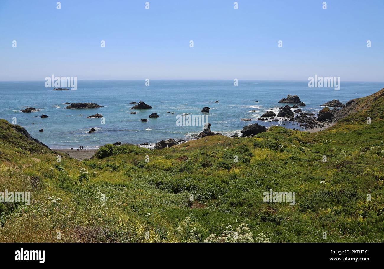 Shell beach california hi-res stock photography and images - Alamy