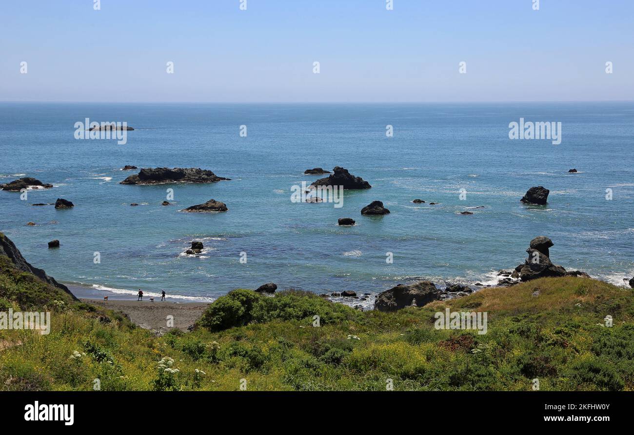 Shell Beach - California Stock Photo - Alamy