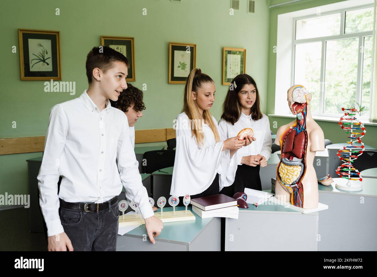 Pupils at biology lesson study internal organs at the educational dummy ...