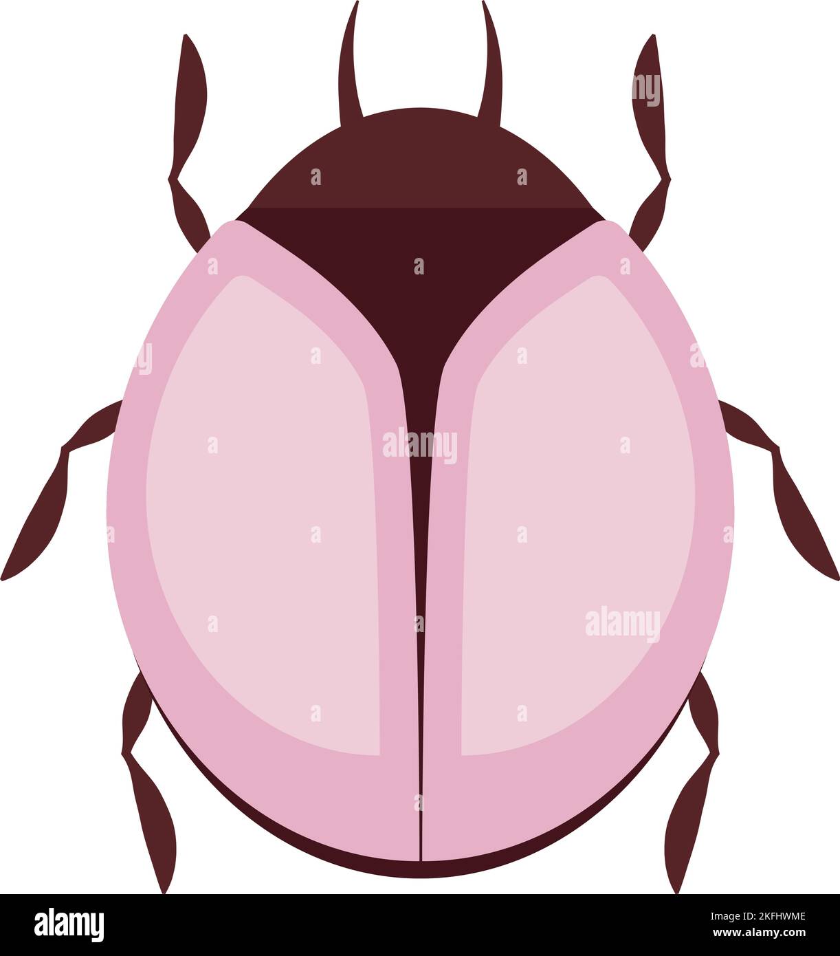 colored beetle design Stock Vector Image & Art - Alamy