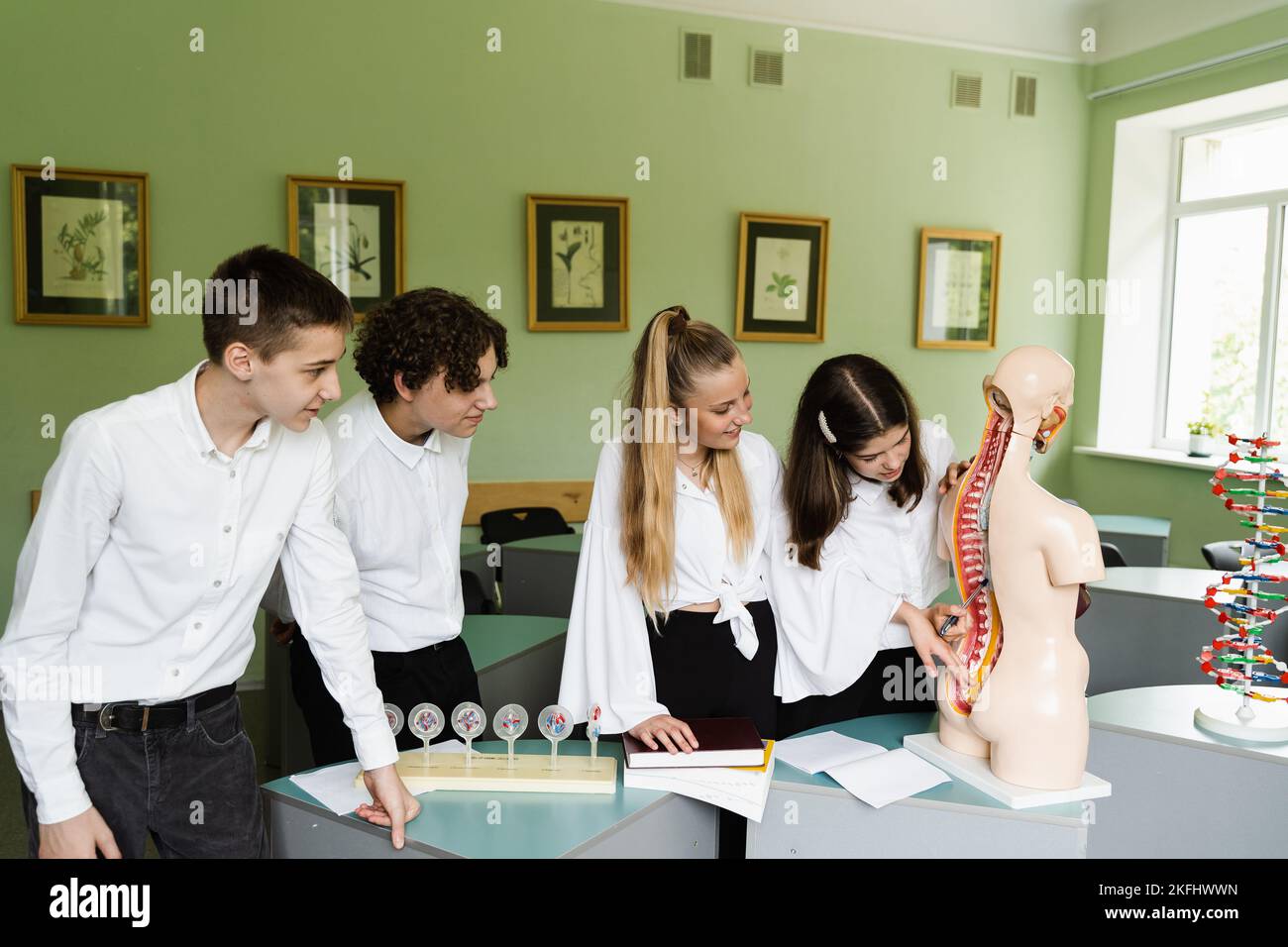 Pupils studying internal organs at the educational dummy manikin in ...