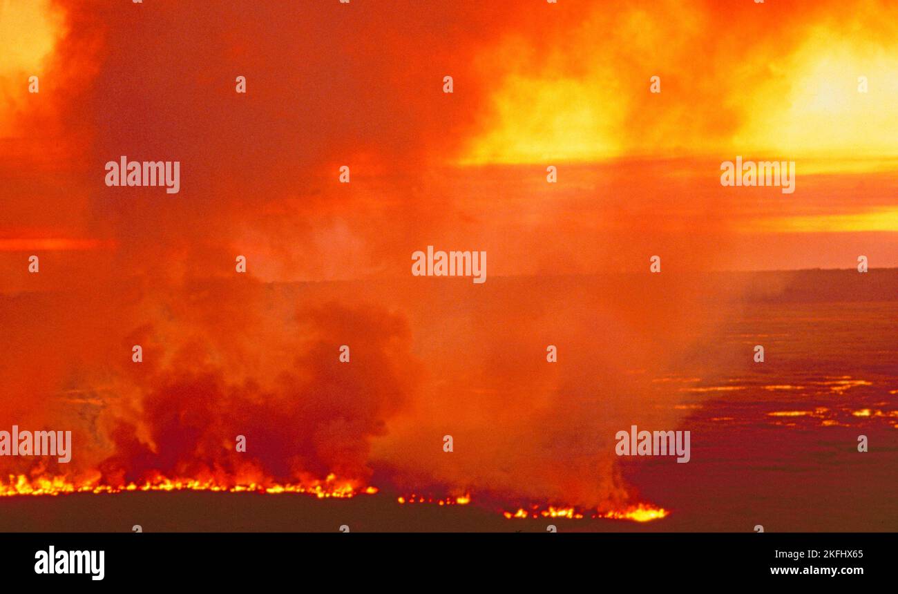 Australia: A big bush fire due to the dryness due tot he global climate ...