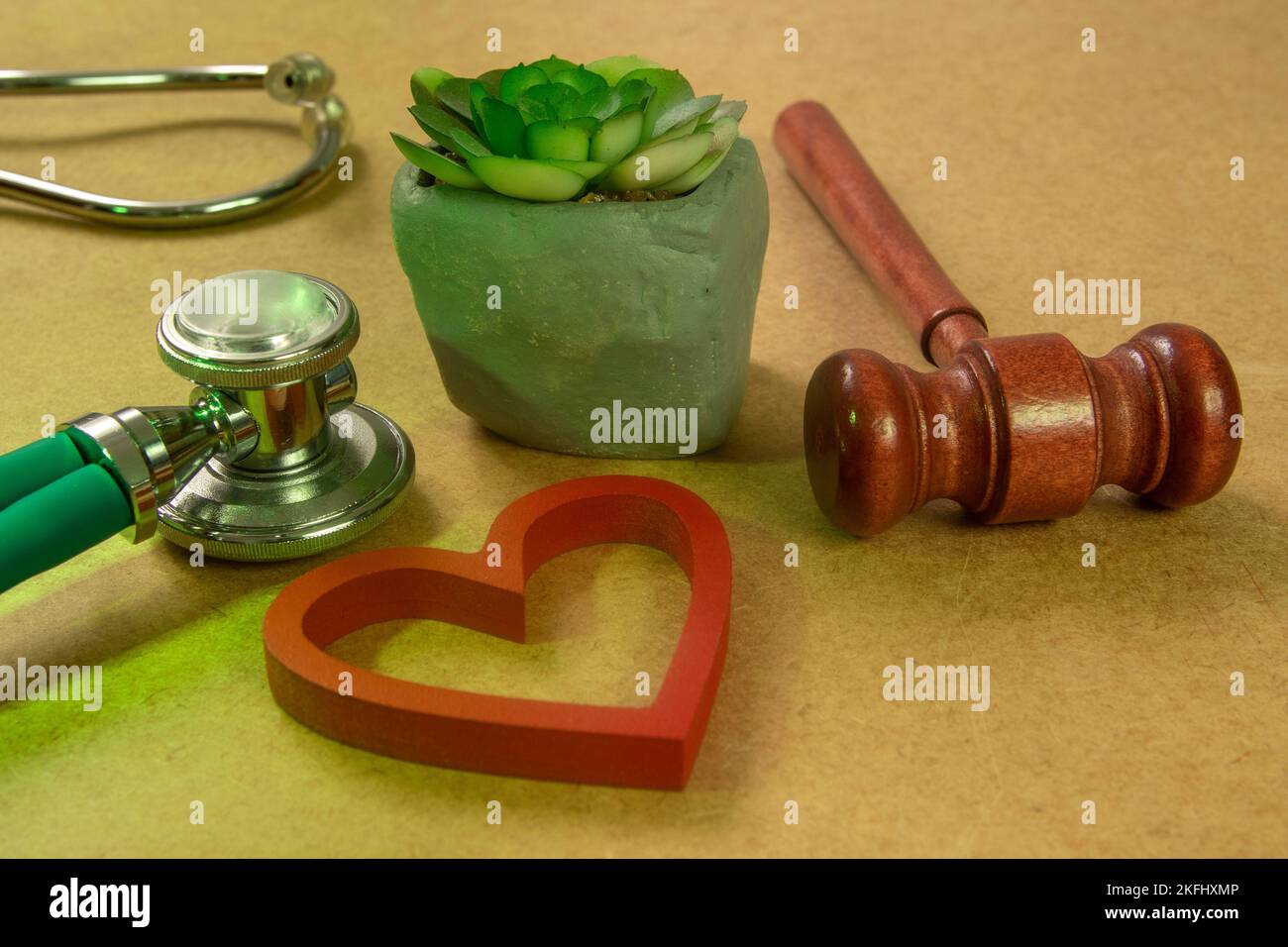 Concept of medicine involving legislation in contracts and civil rights ...