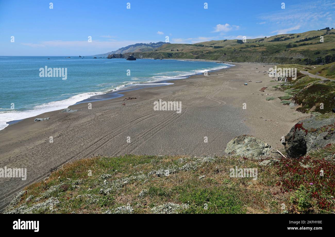 View at Goat Rock beach - California Stock Photo - Alamy