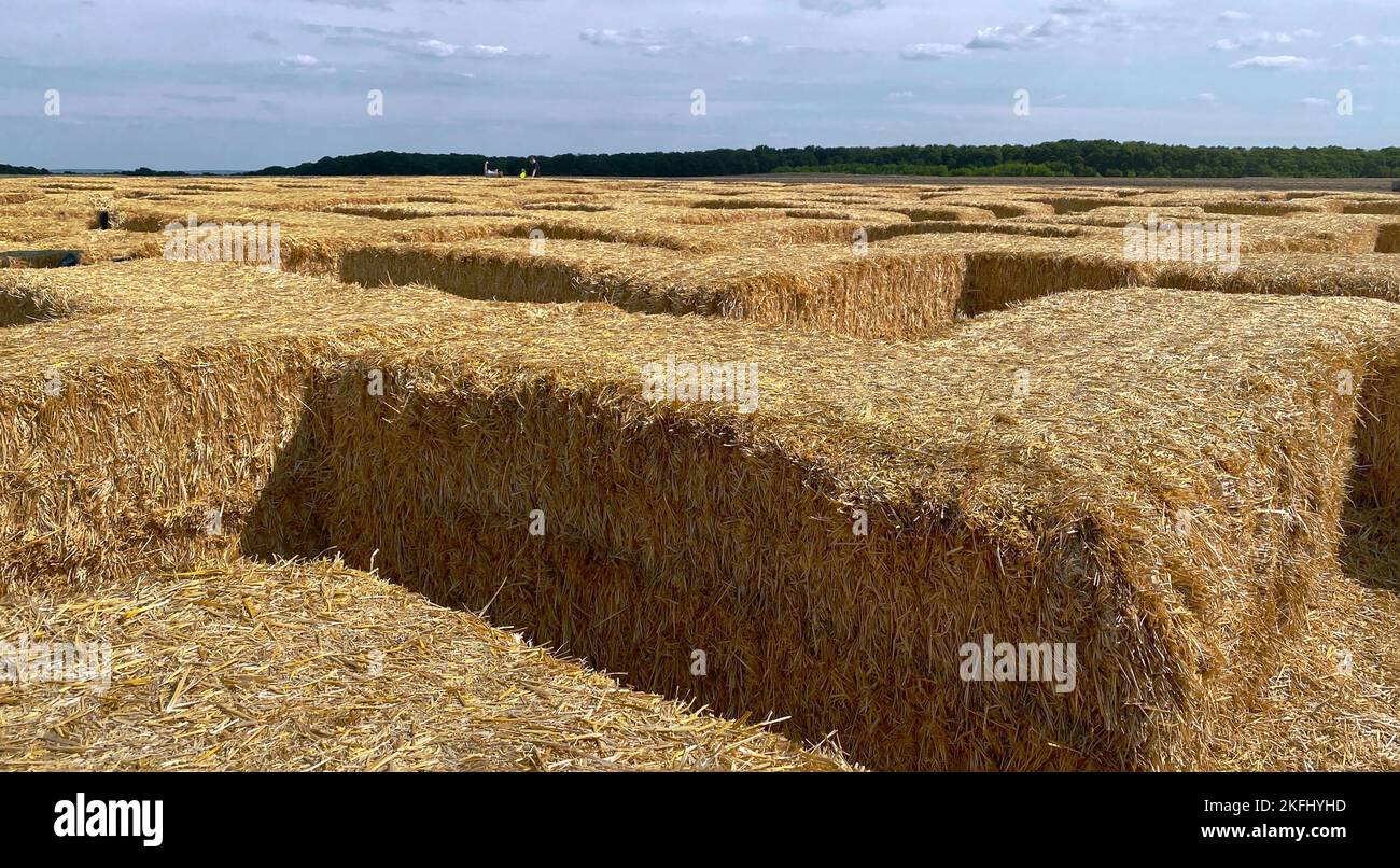 Hay in a bale in a sunny day. Food product for farm animals, farming ...