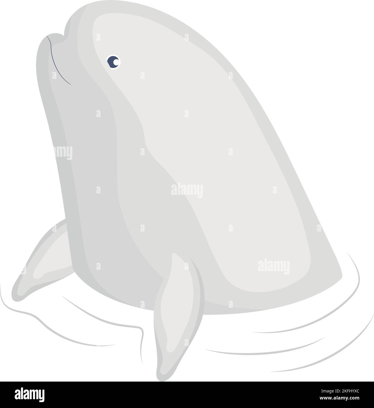 colored beluga illustration Stock Vector Image & Art - Alamy