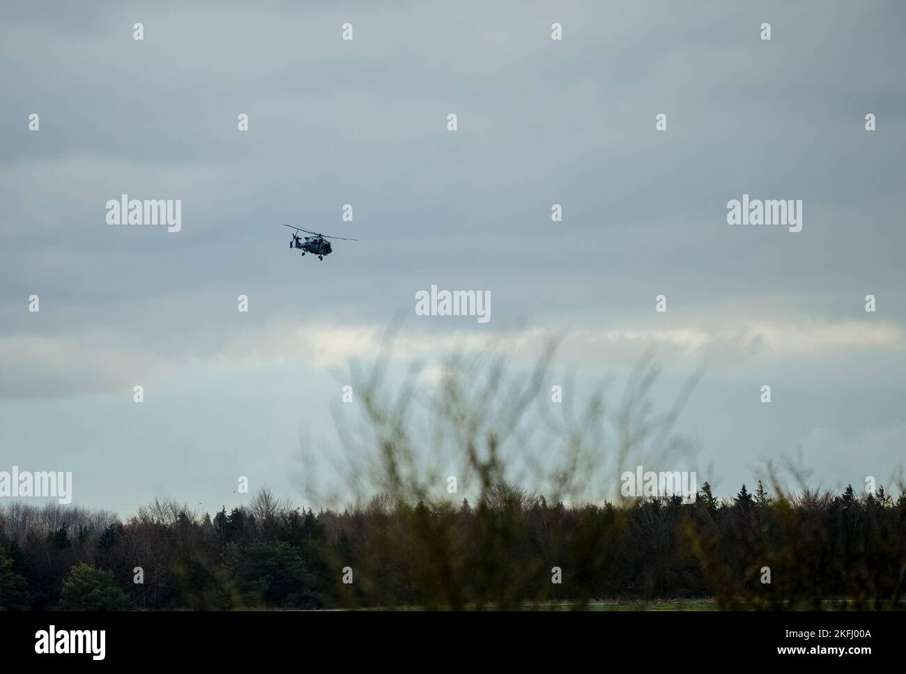 British army AgustaWestland AW159 Wildcat AH1 helicopter flying low ...
