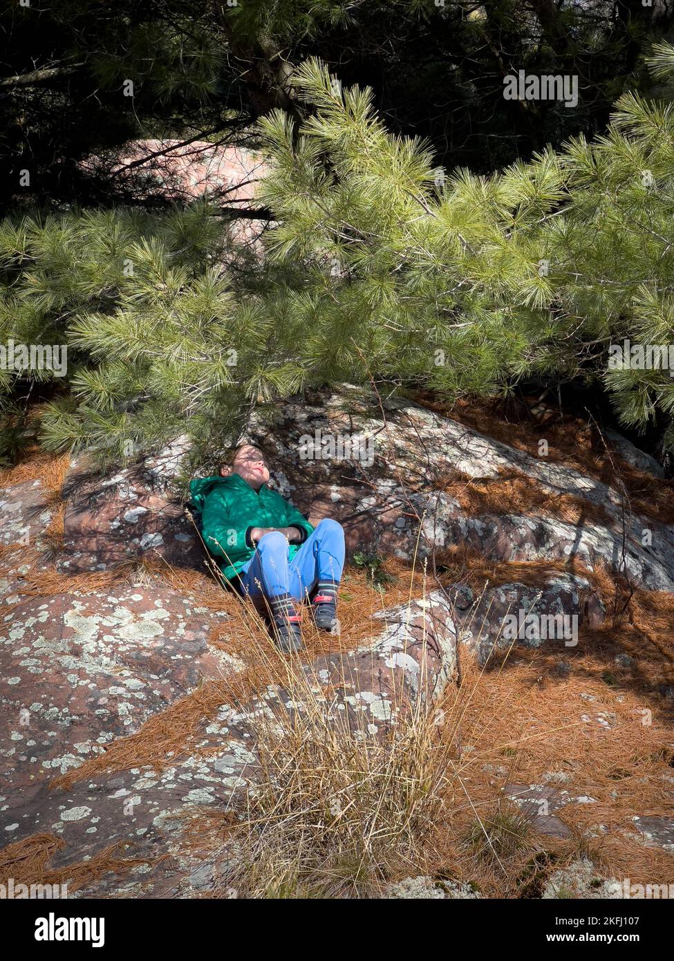 High angle view of Caucasian boy sleeping on rock formation under tree ...