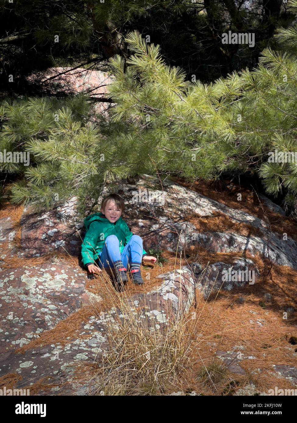 High angle view of Caucasian boy sitting on rock formation under tree ...