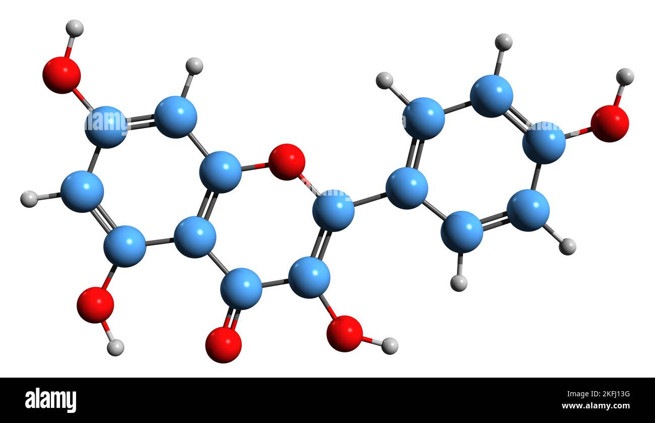 3D image of Kaempferol skeletal formula - molecular chemical structure ...