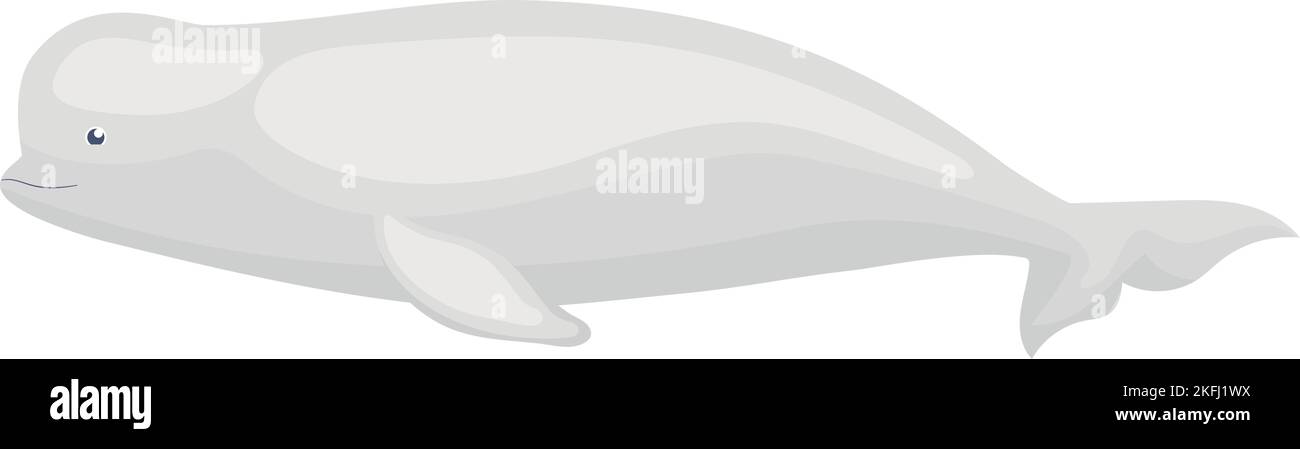 gray beluga design Stock Vector Image & Art - Alamy