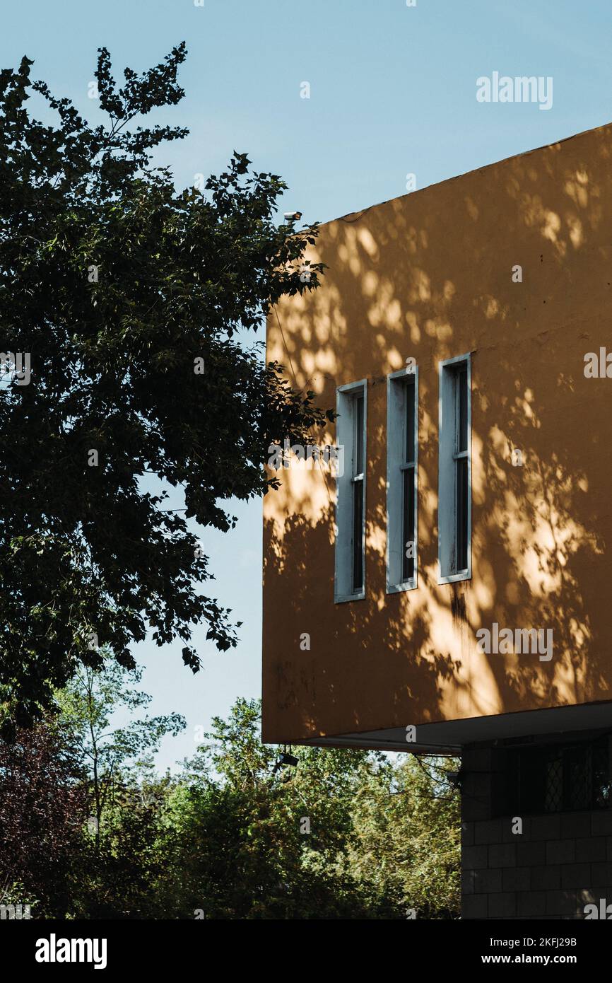 A vertical shot of a tree shadow on the orange building wall Stock ...