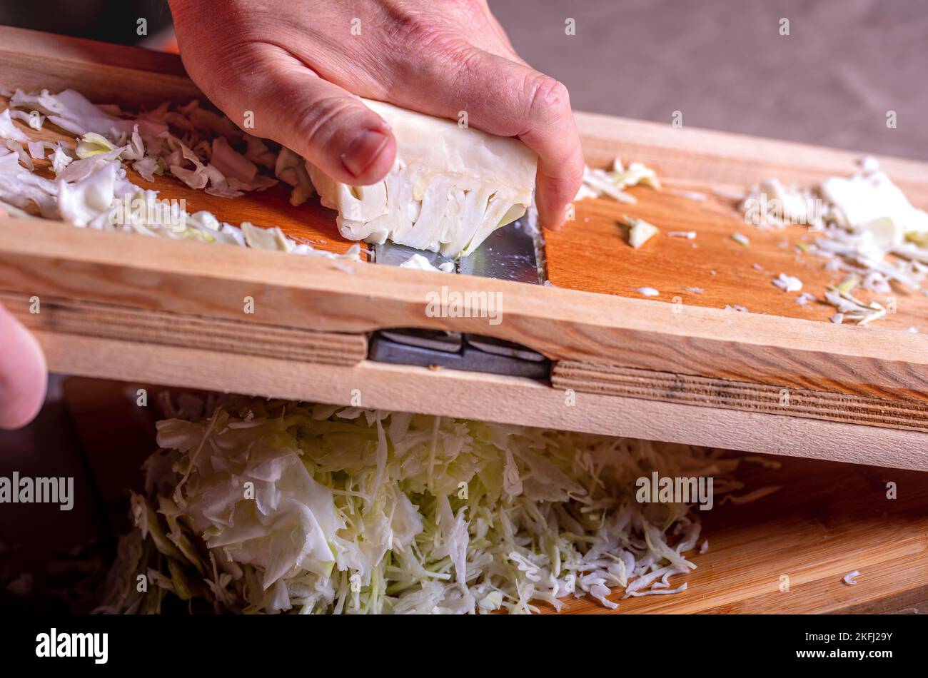 Prepare cabbage for fermentation. Cutting of cabbage on cutter ...