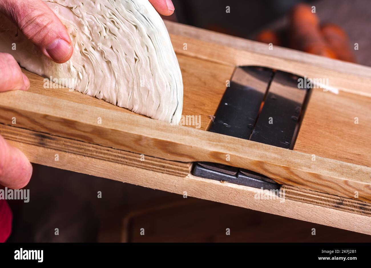 Prepare cabbage for fermentation. Cutting of cabbage on cutter ...