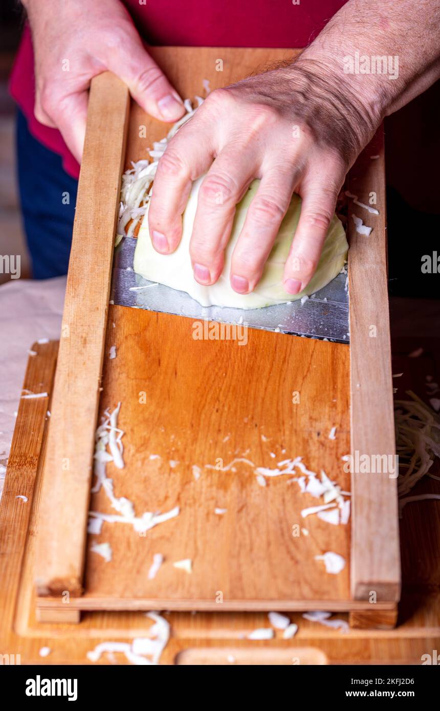 Prepare cabbage for fermentation. Cutting of cabbage on cutter ...