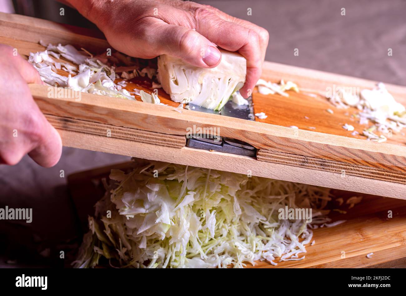 Prepare cabbage for fermentation. Cutting of cabbage on cutter ...