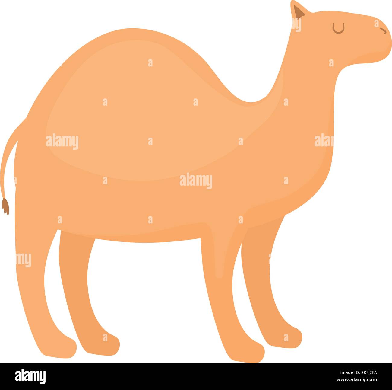 adorable camel design Stock Vector Image & Art - Alamy
