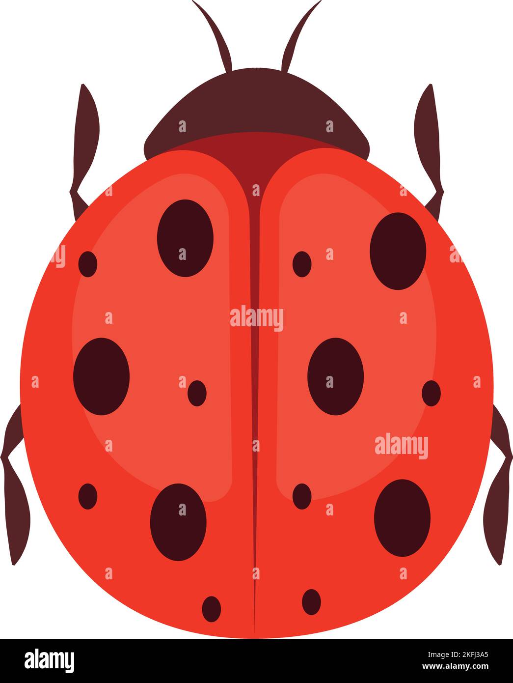 colored ladybug design Stock Vector Image & Art - Alamy