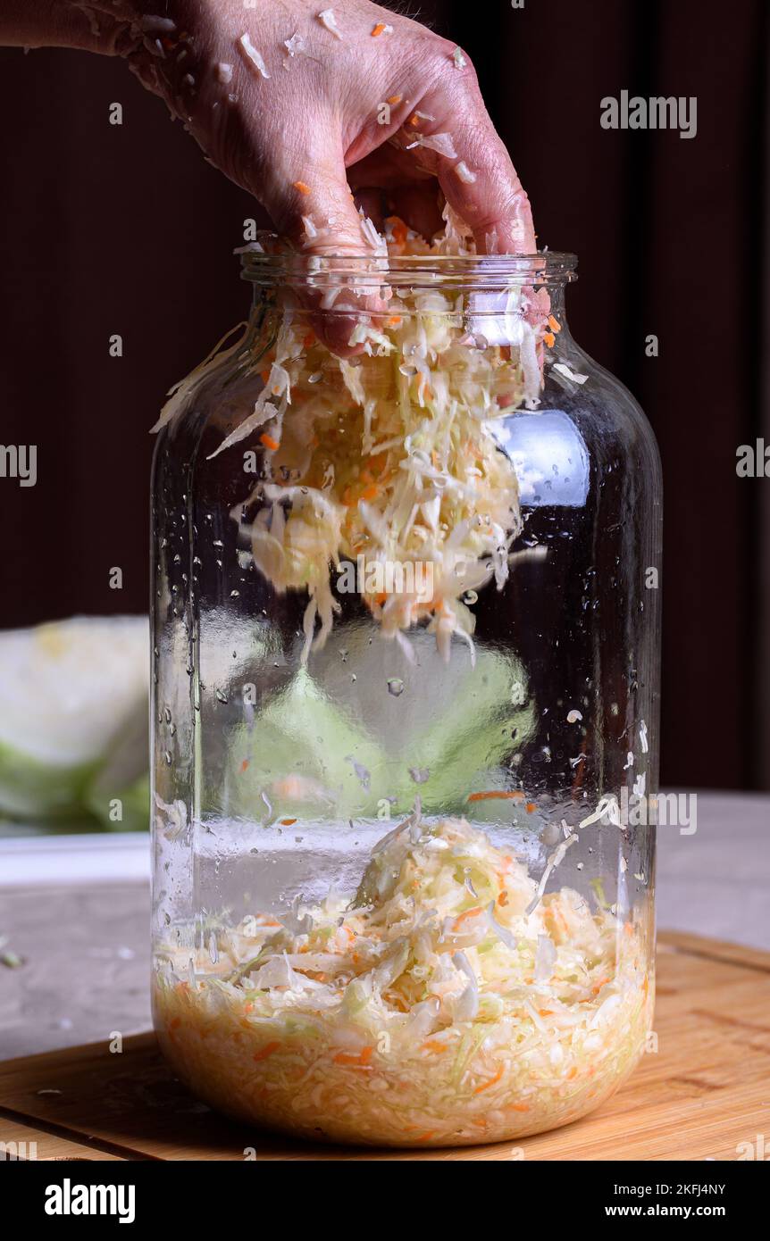 Prepare for fermentation. Finely chopped cabbage is poured from the ...
