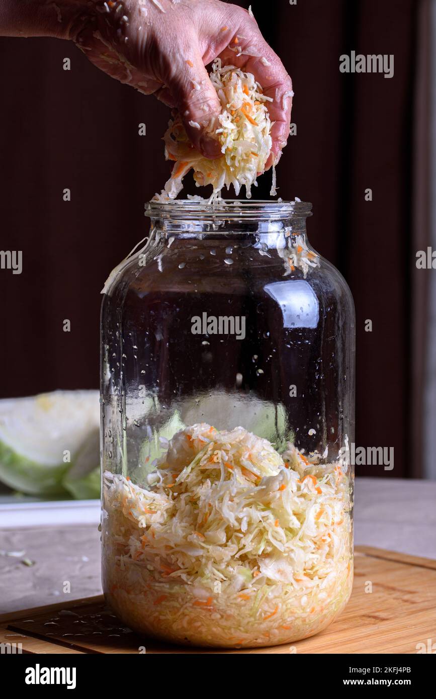 Prepare for fermentation. Finely chopped cabbage is poured from the ...