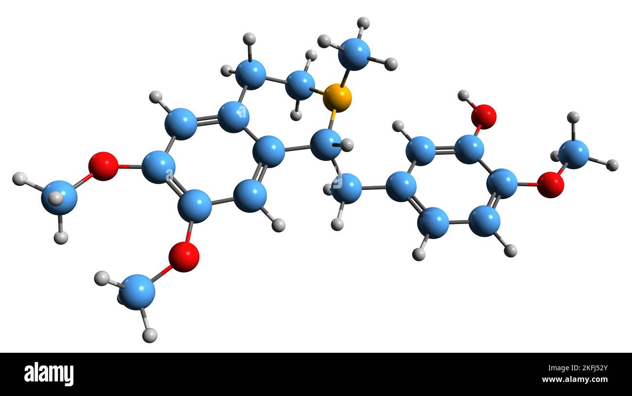 3D image of Laudanidine skeletal formula - molecular chemical structure ...
