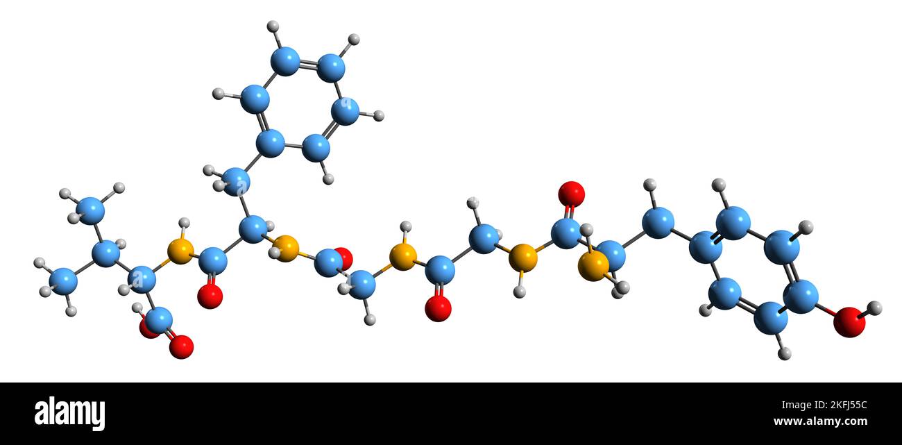 3D image of Leu-enkephalin skeletal formula - molecular chemical ...