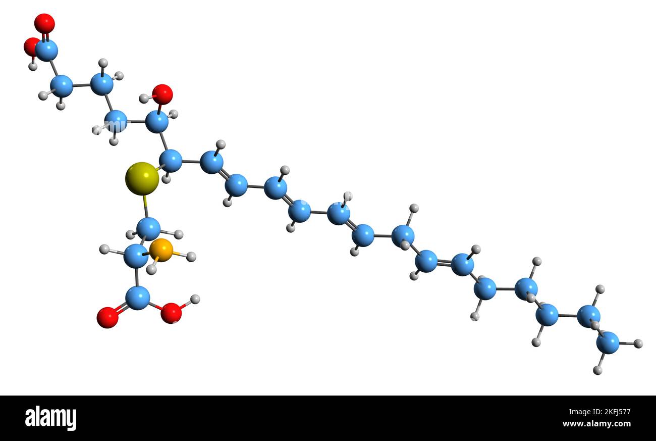 3D image of Leukotriene E4 skeletal formula - molecular chemical ...