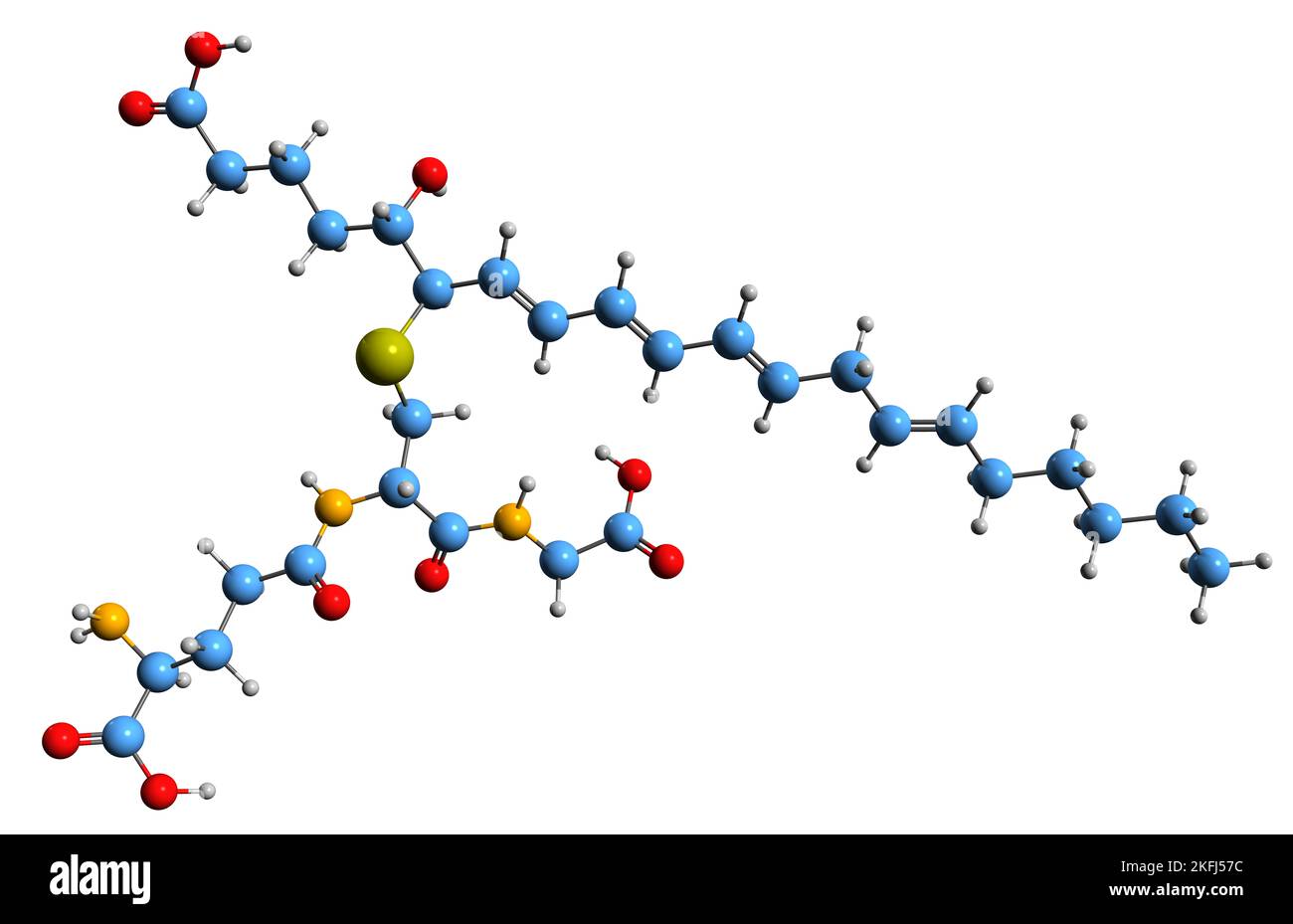 3D image of Leukotriene C4 skeletal formula - molecular chemical ...
