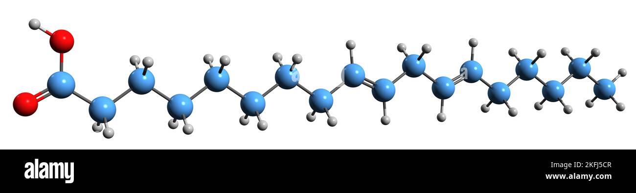 3D image of Linoleic acid skeletal formula - molecular chemical ...