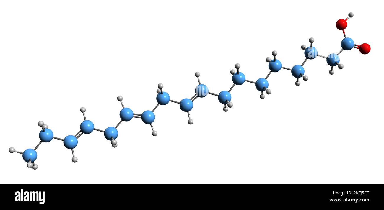 3D image of alpha-Linolenic acid skeletal formula - molecular chemical ...