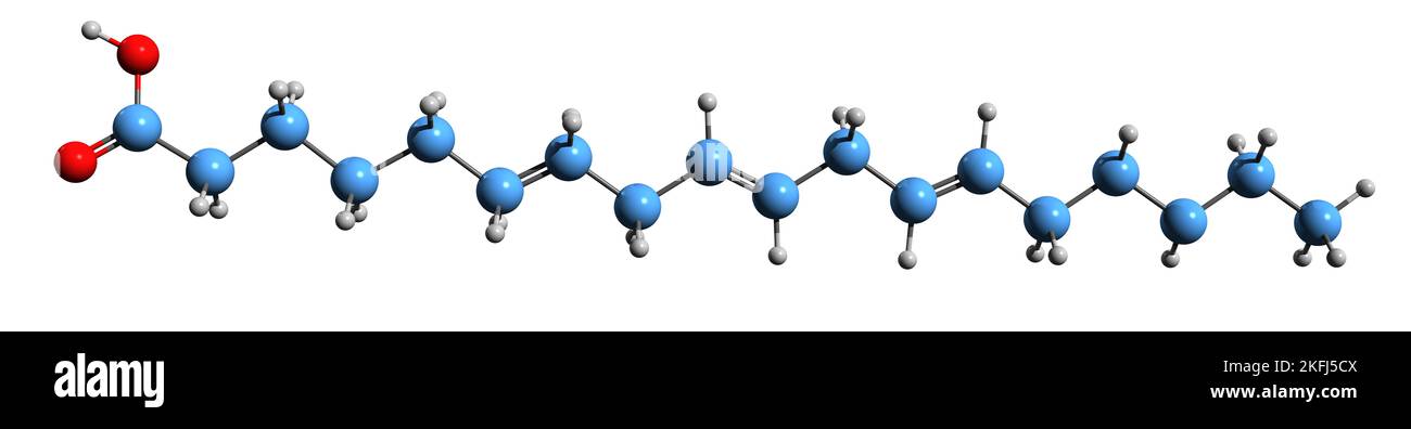 Gamolenic acid hi-res stock photography and images - Alamy