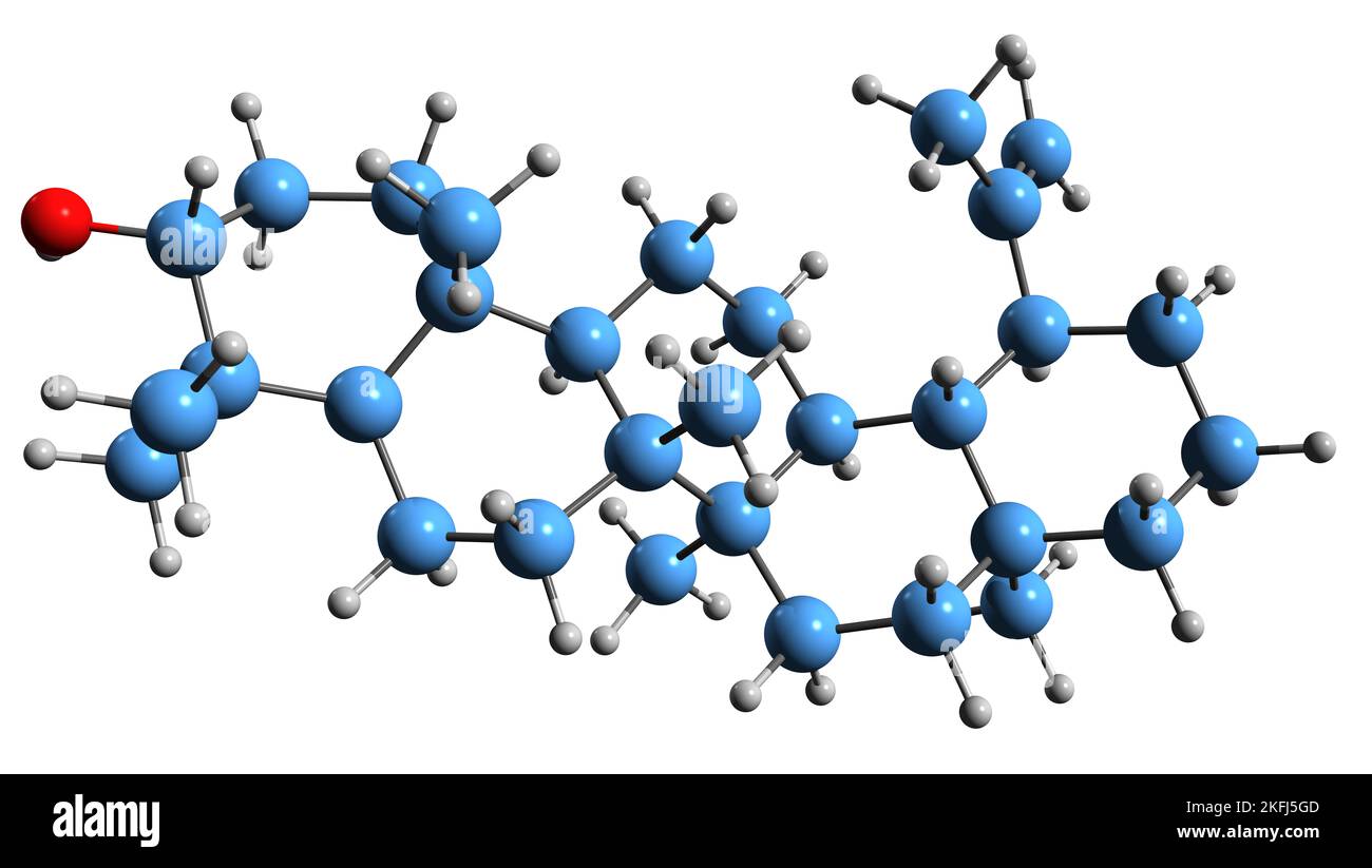 3D image of Lupeol skeletal formula - molecular chemical structure of ...