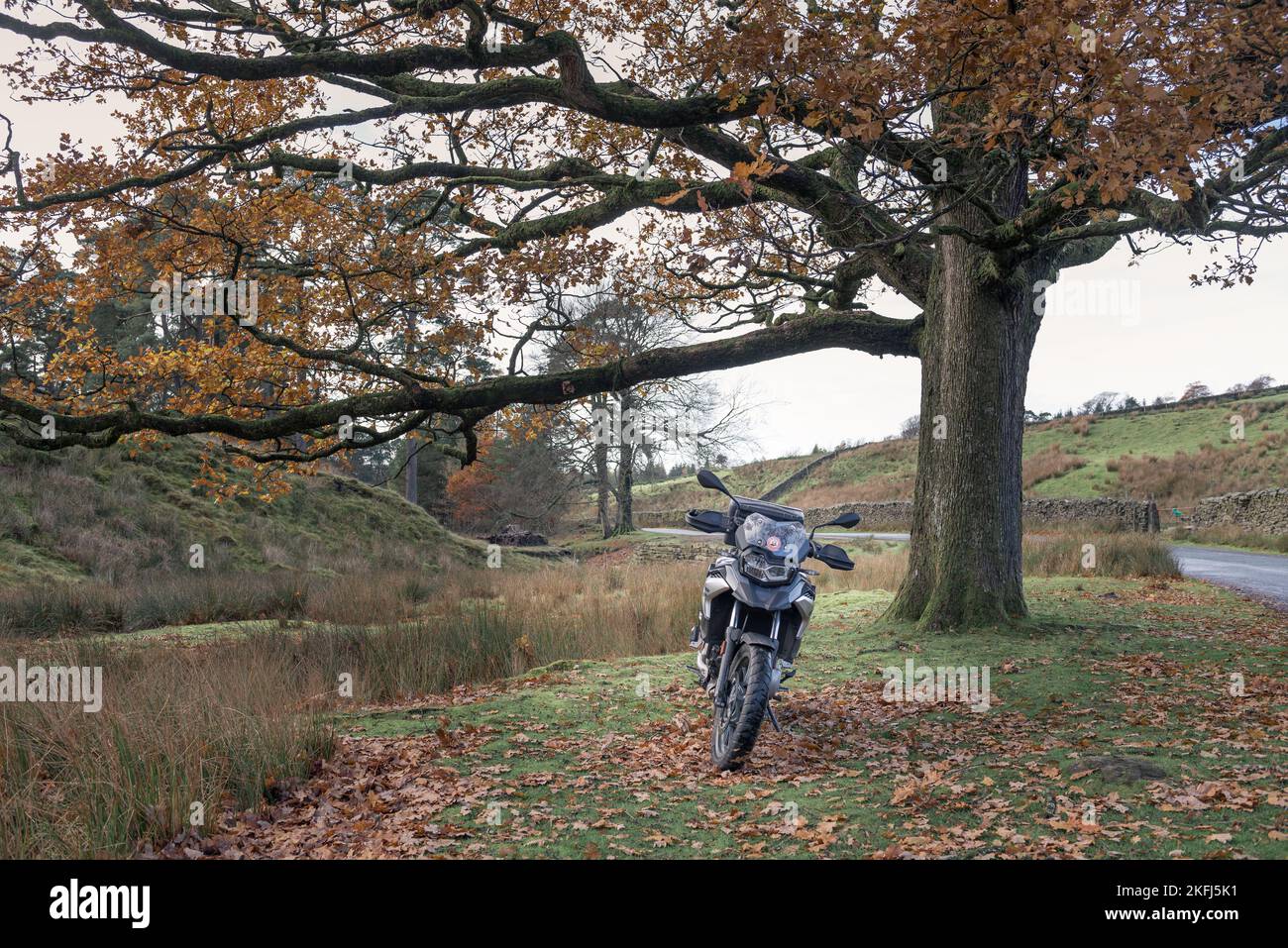 BMW F750GS motorcycle parked in the countryside. Autumn leaves and ...