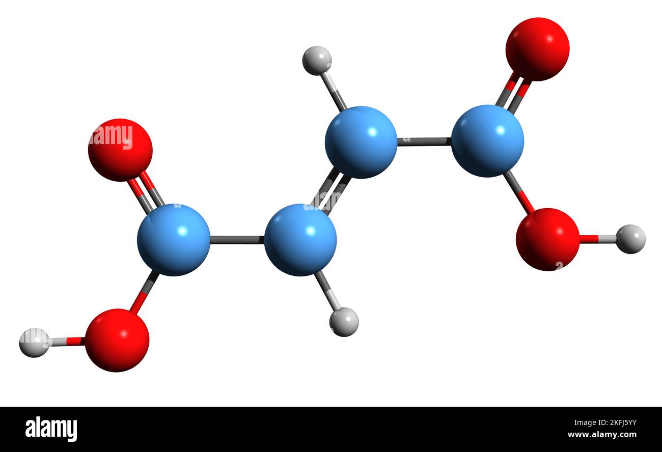 3D image of Maleic acid skeletal formula - molecular chemical structure ...