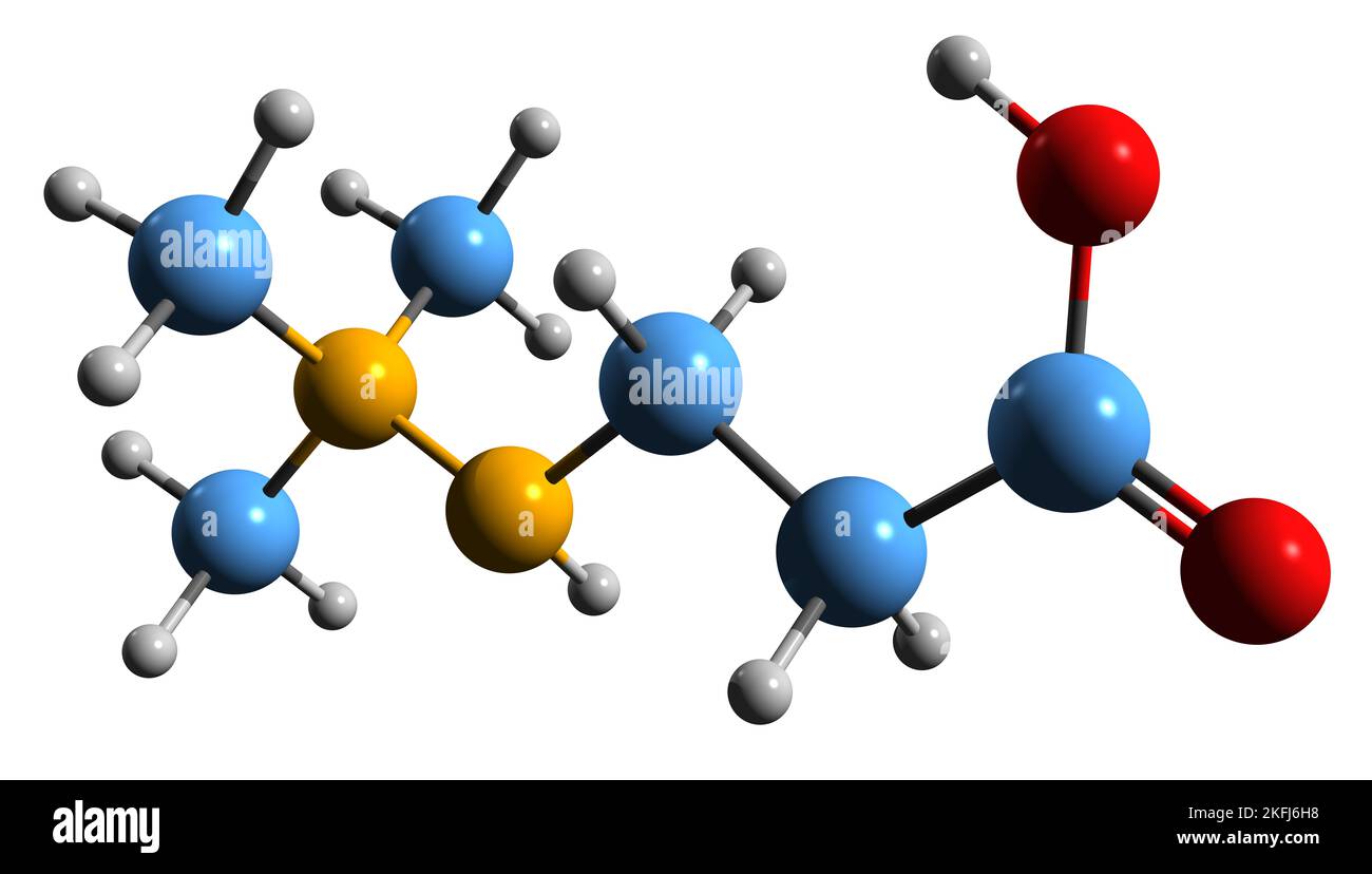 3D image of Meldonium skeletal formula - molecular chemical structure ...